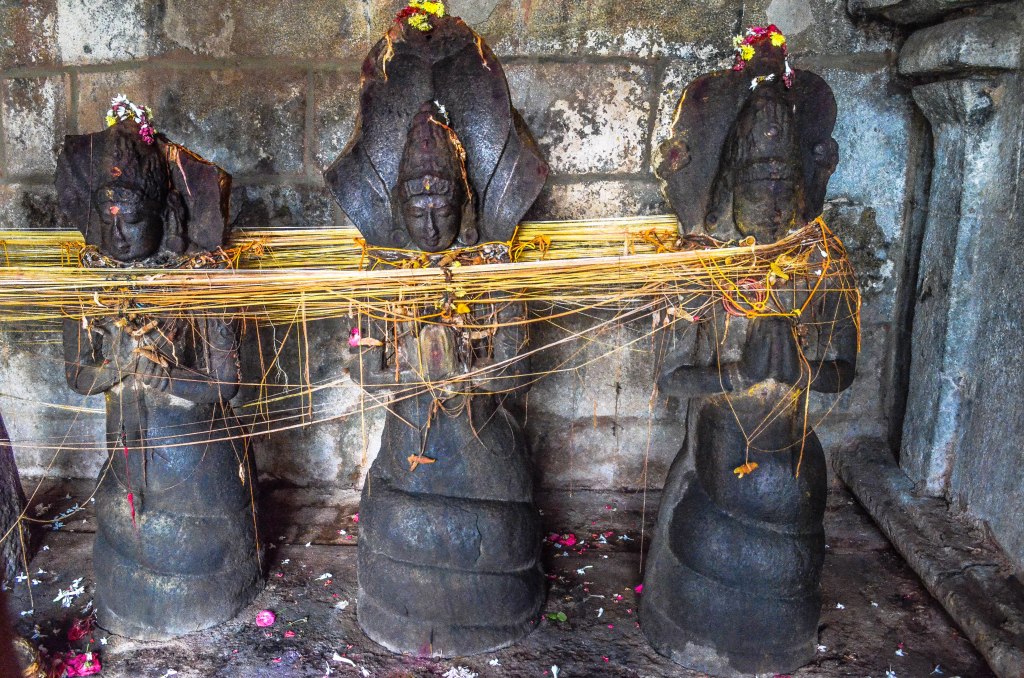 Worship of the Naga or Serpent Worship – Moni Gāthā