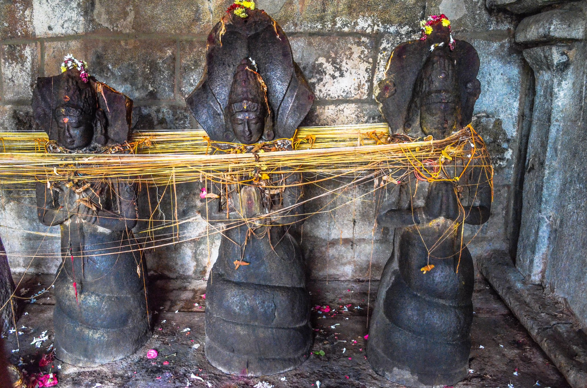 Worship of the Naga or Serpent Worship – Moni Gāthā