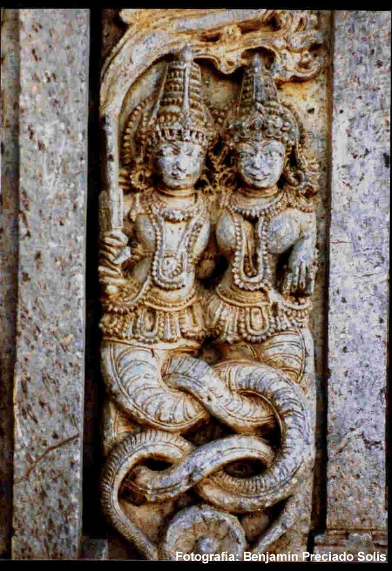 Worship of the Naga or Serpent Worship – Moni Gāthā