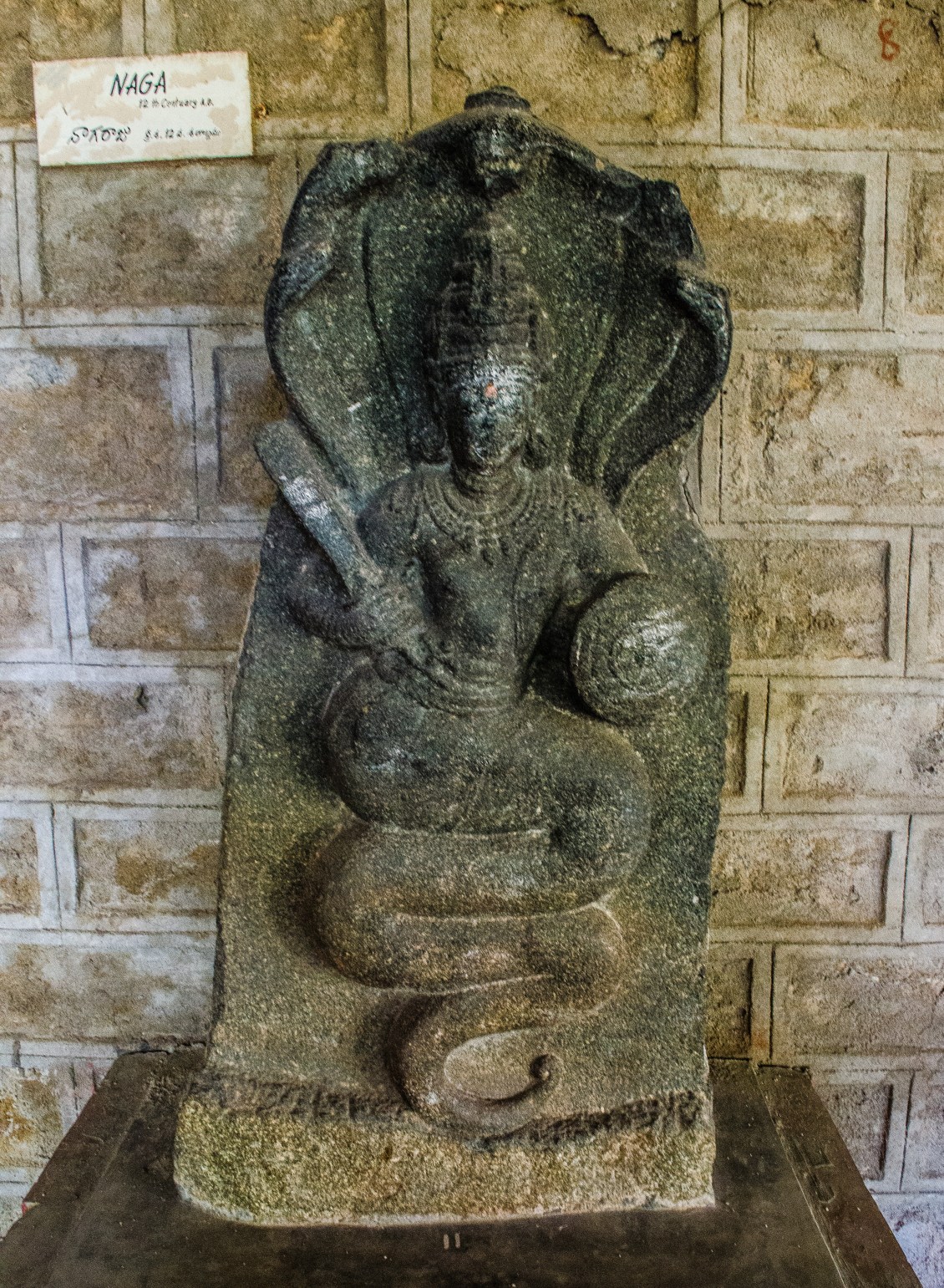 Worship of the Naga or Serpent Worship – Moni Gāthā