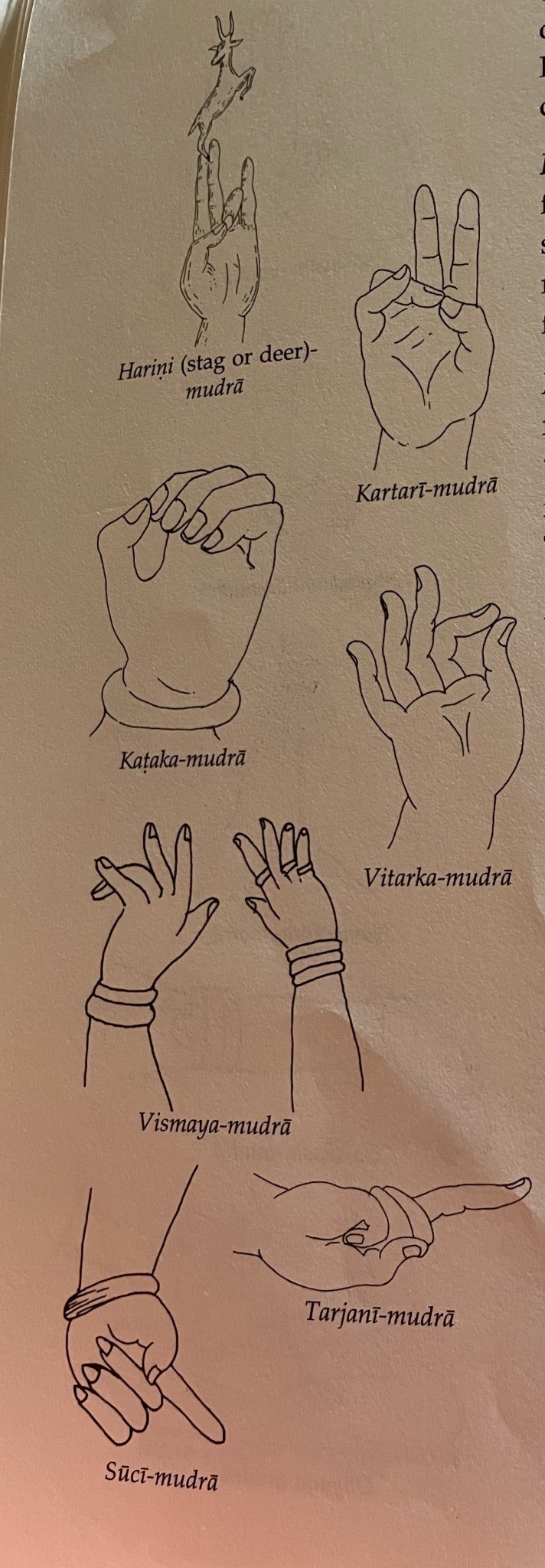 Mudras and Postures seen in Indian Iconography – Moni Gāthā