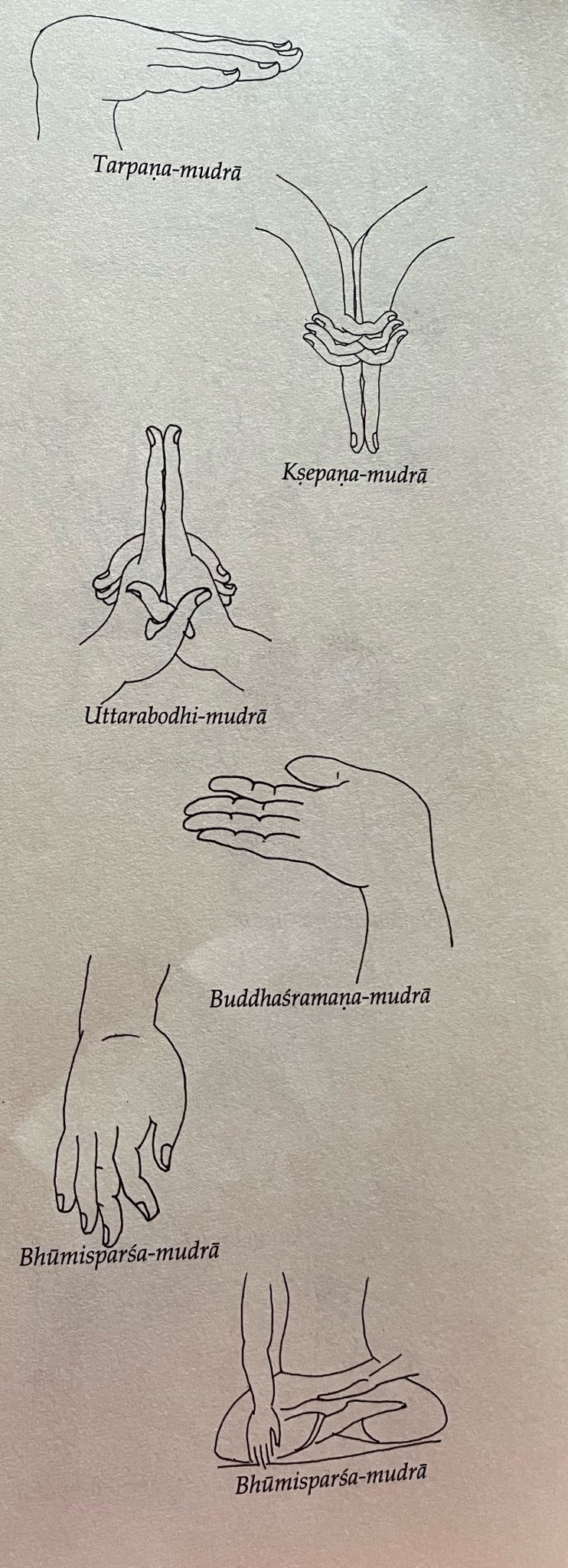 Mudras and Postures seen in Indian Iconography – Moni Gāthā